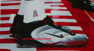 Nike (Tim) Duncan Max Basketball Shoe White/White & Black/Silver 2002